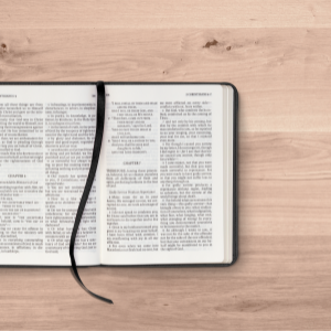 Legacy Standard Bible | Your Translation for a Lifetime | Your ...